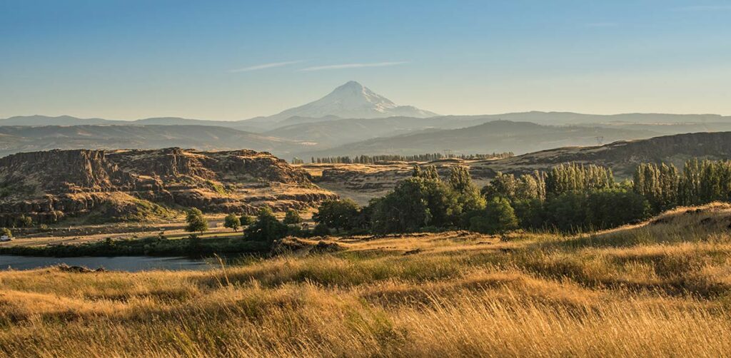 Who We Are – Link Oregon